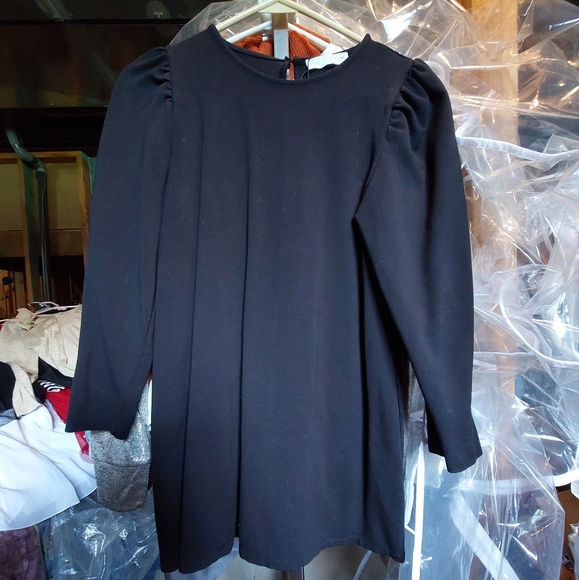 Zara | Dresses | Zara Balloon Sleeve Dress | Poshmark